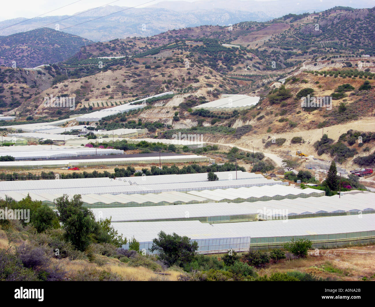Hothousesplants hi-res stock photography and images - Alamy