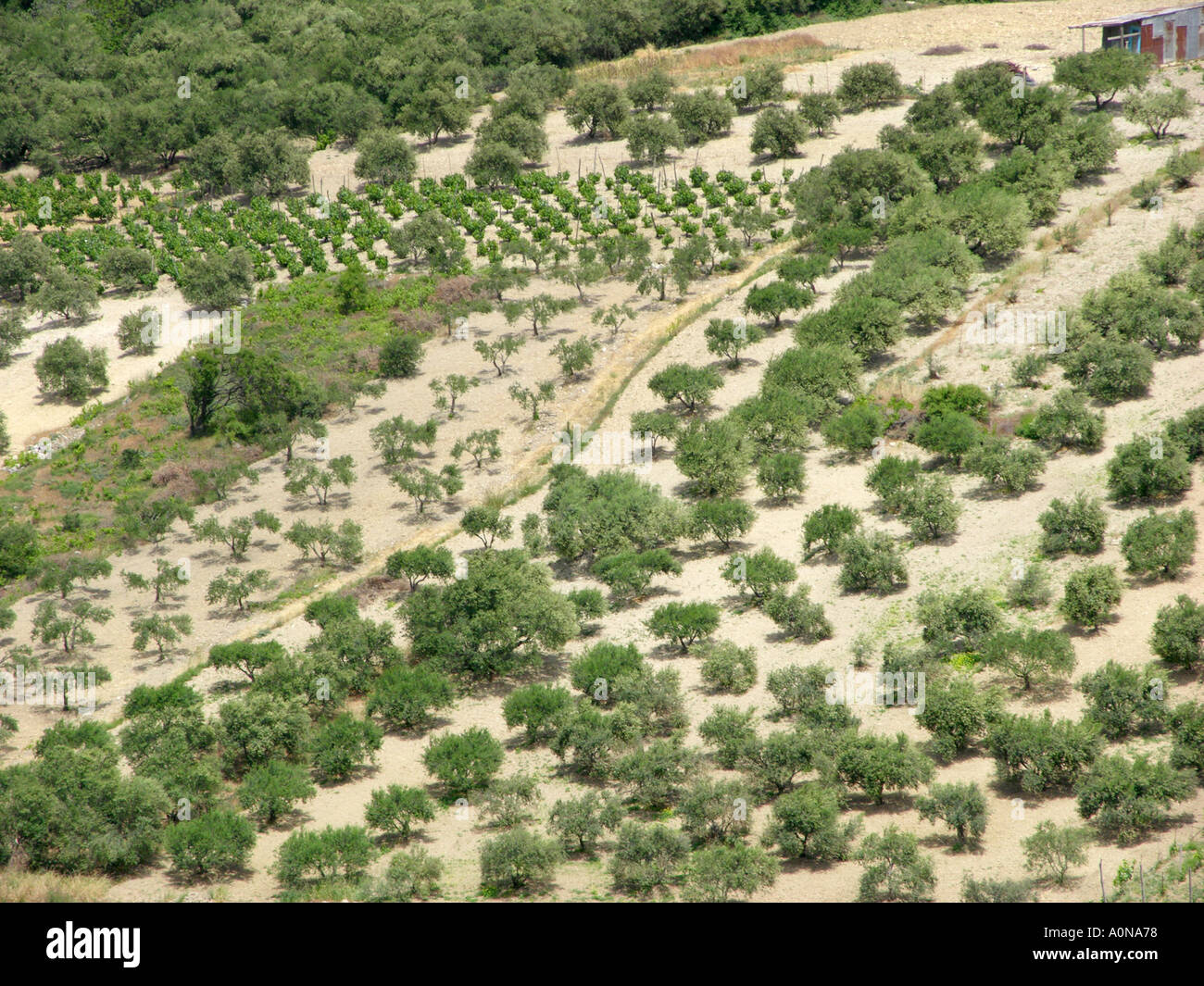 Cretian Culture High Resolution Stock Photography and Images - Alamy