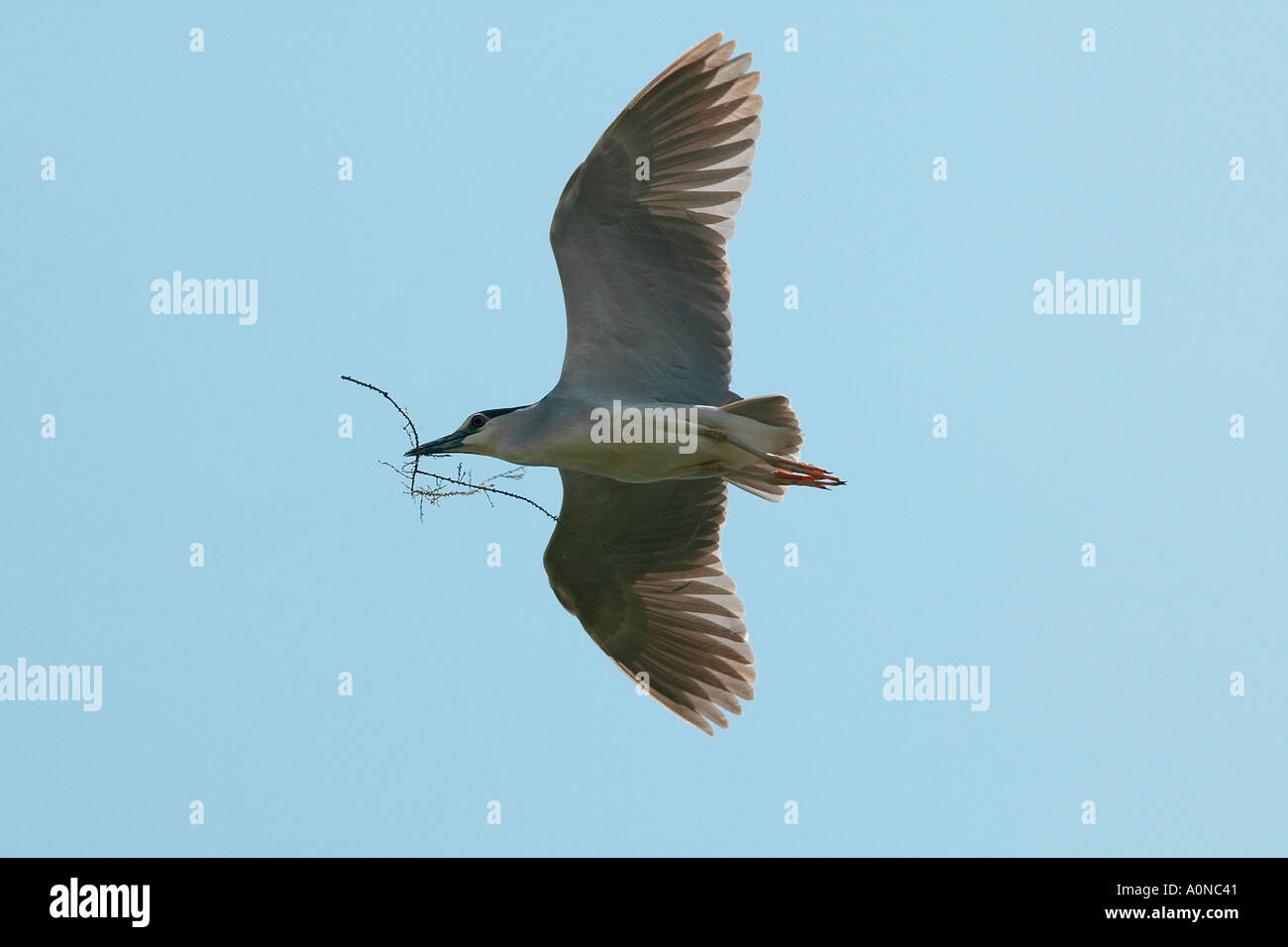 Night hero hi-res stock photography and images - Alamy