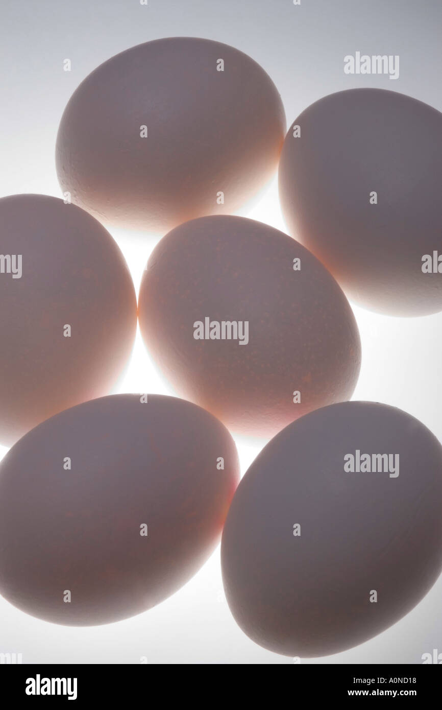 Translucent eggs hi-res stock photography and images - Alamy