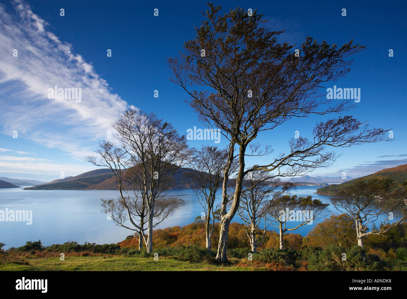 Loch Alsh the Sound of Sleat and the Isle of Skye from Balmacarra nr ...