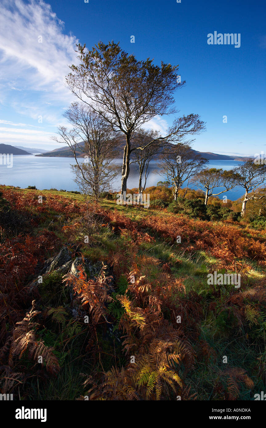 Loch Alsh the Sound of Sleat from Balmacarra nr the Kyle of Lochalsh ...