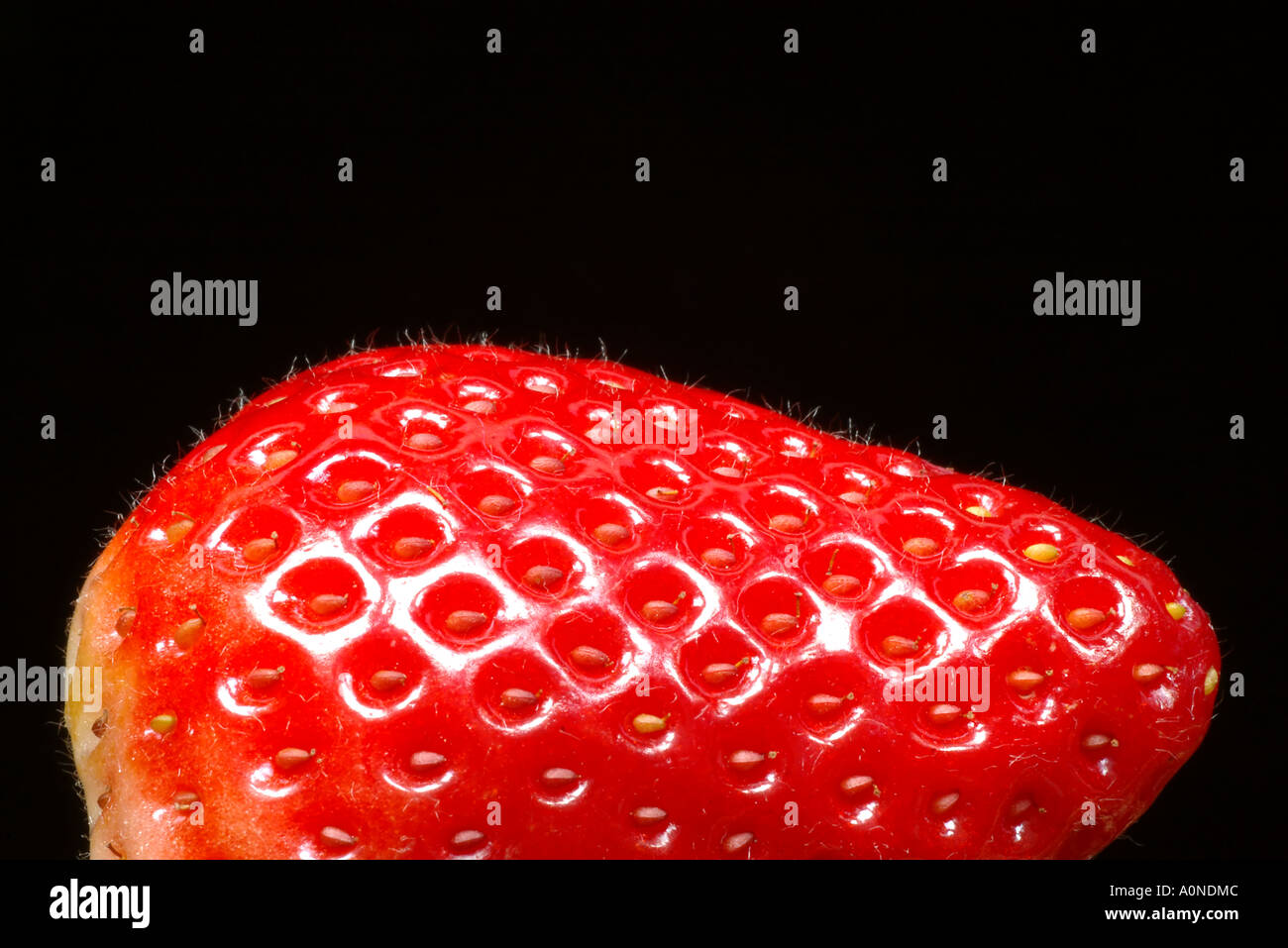 Vertical horizontal background Cut Out Stock Images & Pictures - Alamy