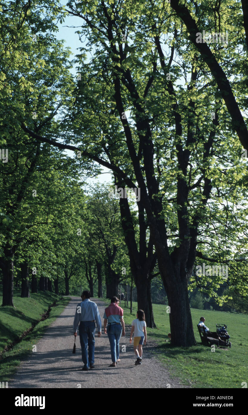 walk in spring alley Stock Photo - Alamy