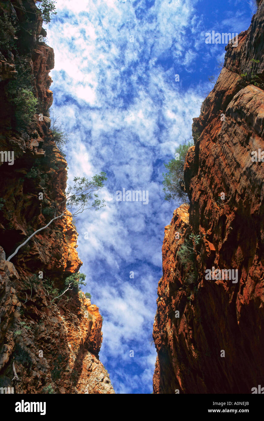 Standley chasm West Macdonnells NT Australia Stock Photo - Alamy