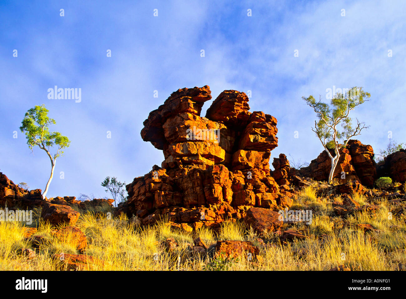Trees and Rock formations Northern Territory Australia Stock Photo - Alamy