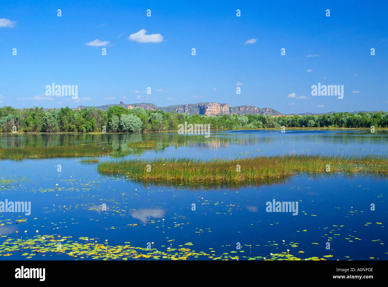 Wetlands Kakadu National Park NT Australia Stock Photo - Alamy