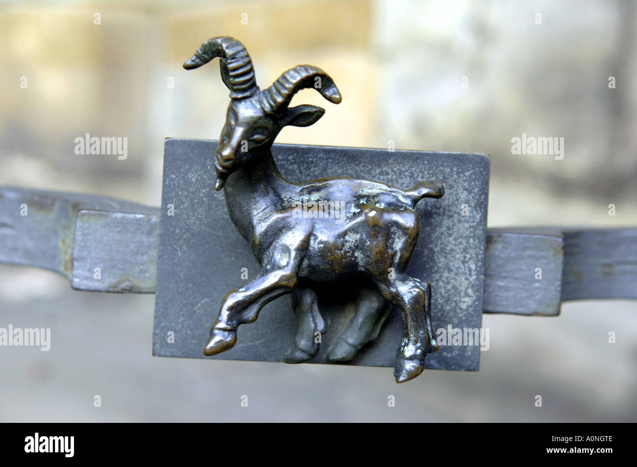 Bohemian ram hi-res stock photography and images - Alamy