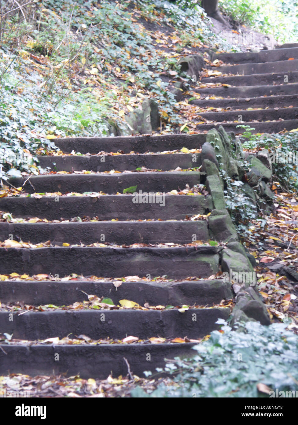 Trip and steps hazard hi-res stock photography and images - Alamy