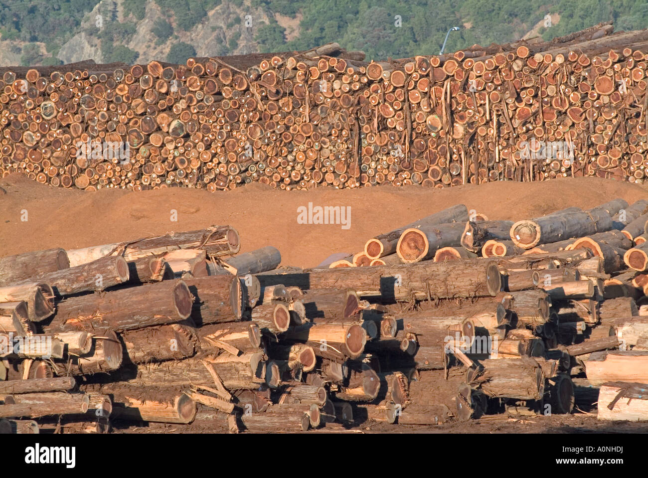 Northern california lumber mill hi-res stock photography and images - Alamy