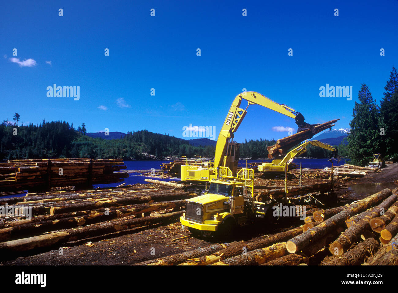 Log sort hi-res stock photography and images - Alamy