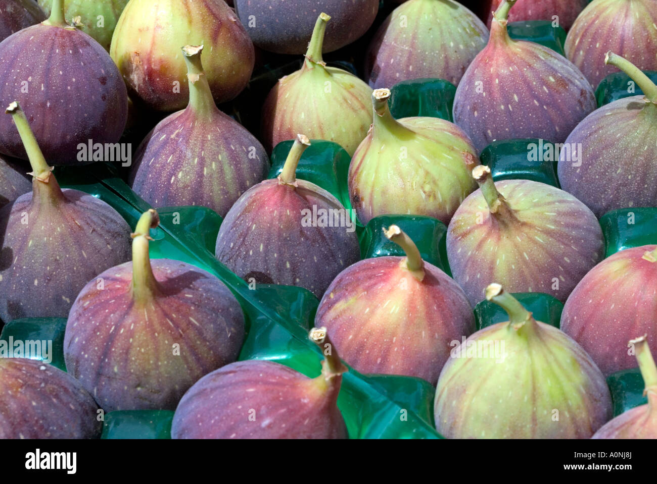Group of beautiful figs in market Stock Photo - Alamy