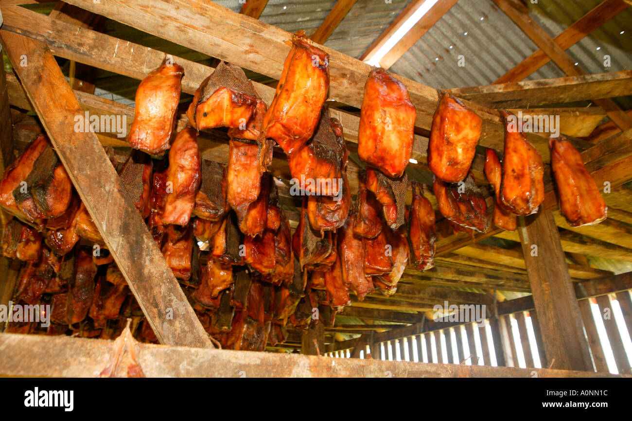 Fermented Shark Bjarnarhofn farm Western Iceland Stock Photo - Alamy