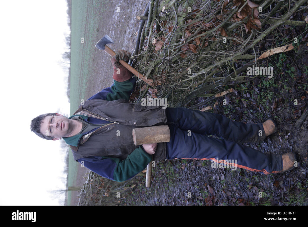 Axe hedge hi-res stock photography and images - Alamy