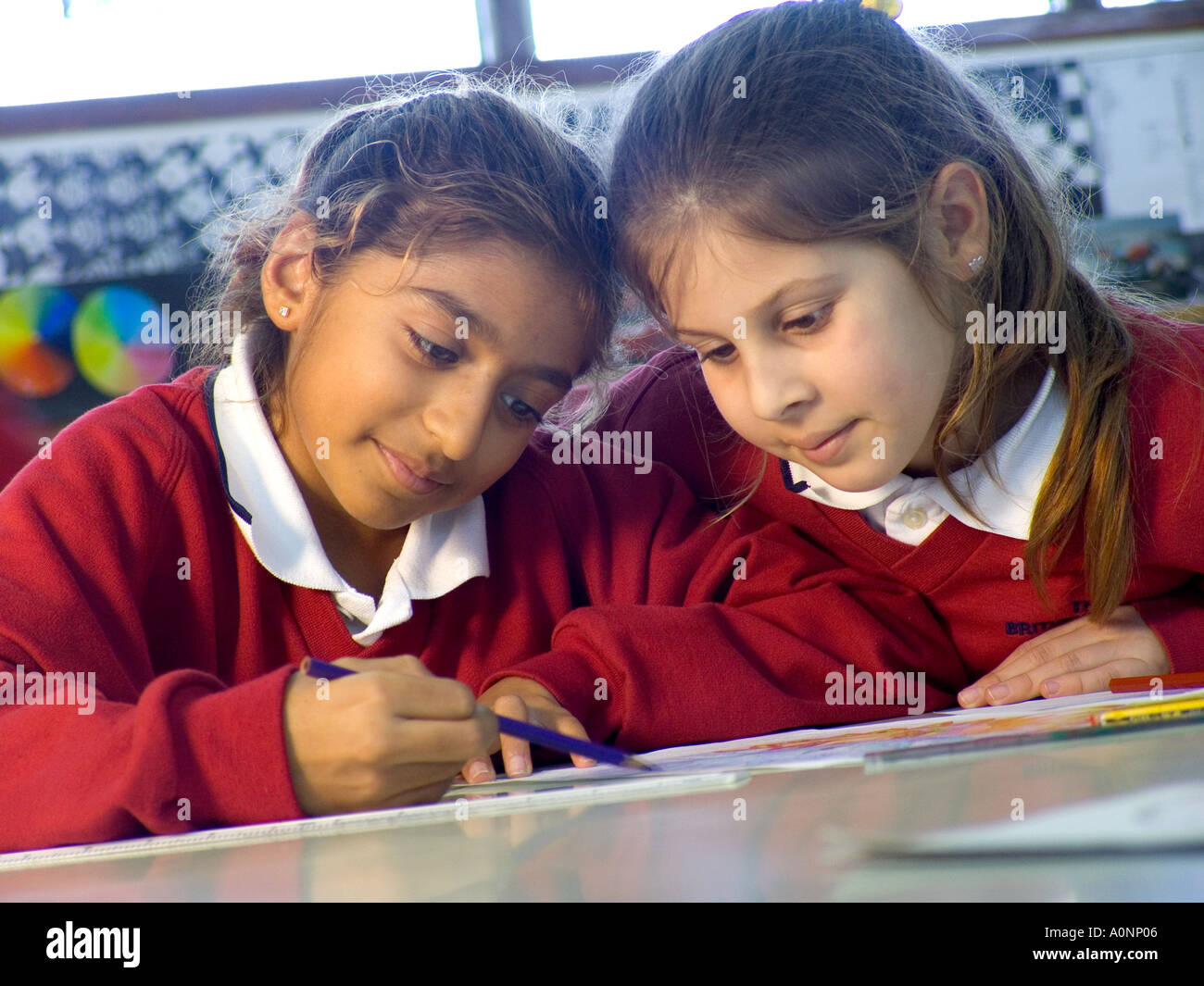 Close up on two schoolgirls studying together in classroom situation ...