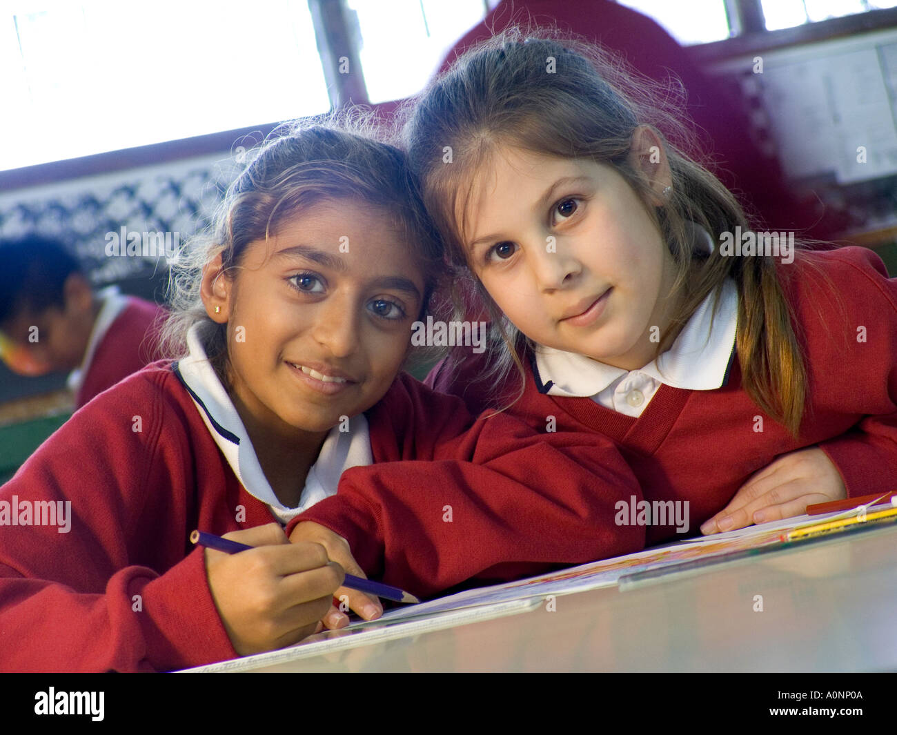 Close up on two schoolgirls studying together in school classroom Stock ...