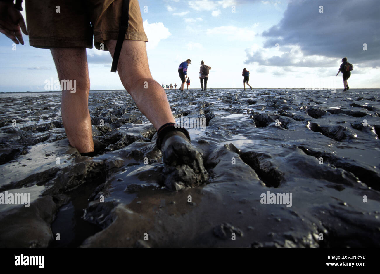 Wadlopen hi-res stock photography and images - Alamy