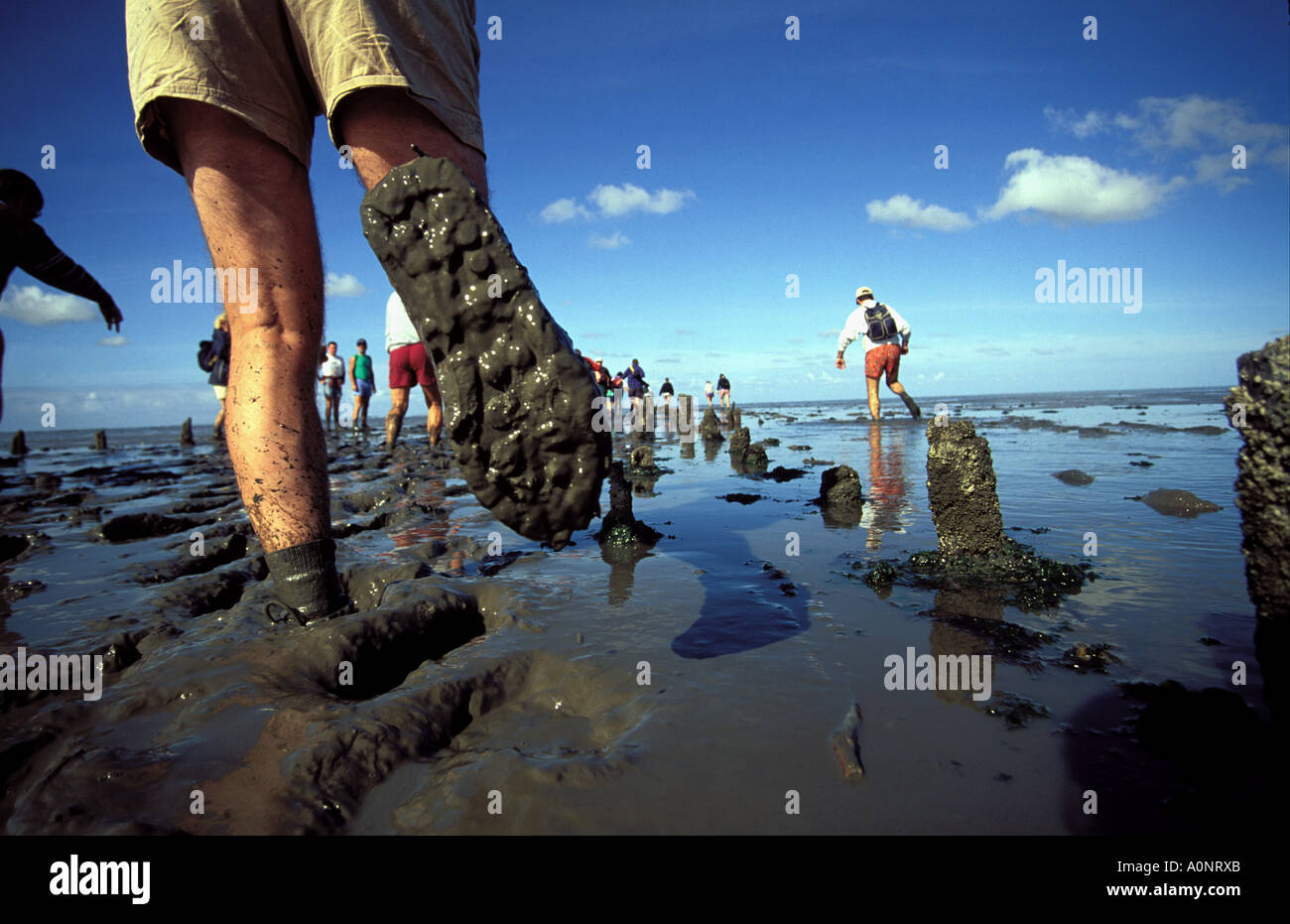 Seabottom hi-res stock photography and images - Alamy