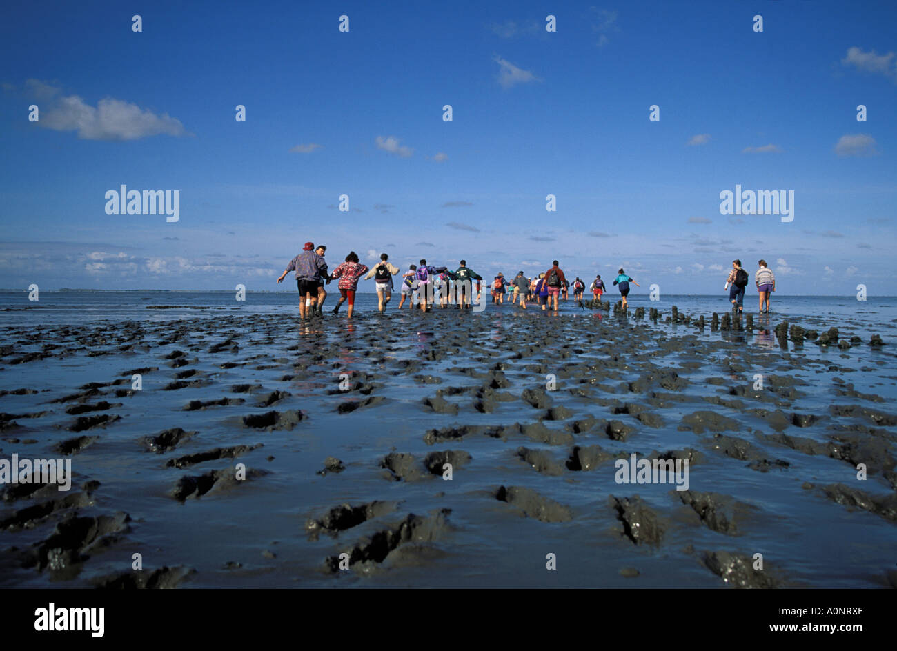 walking on the seabottom at low tide Stock Photo - Alamy