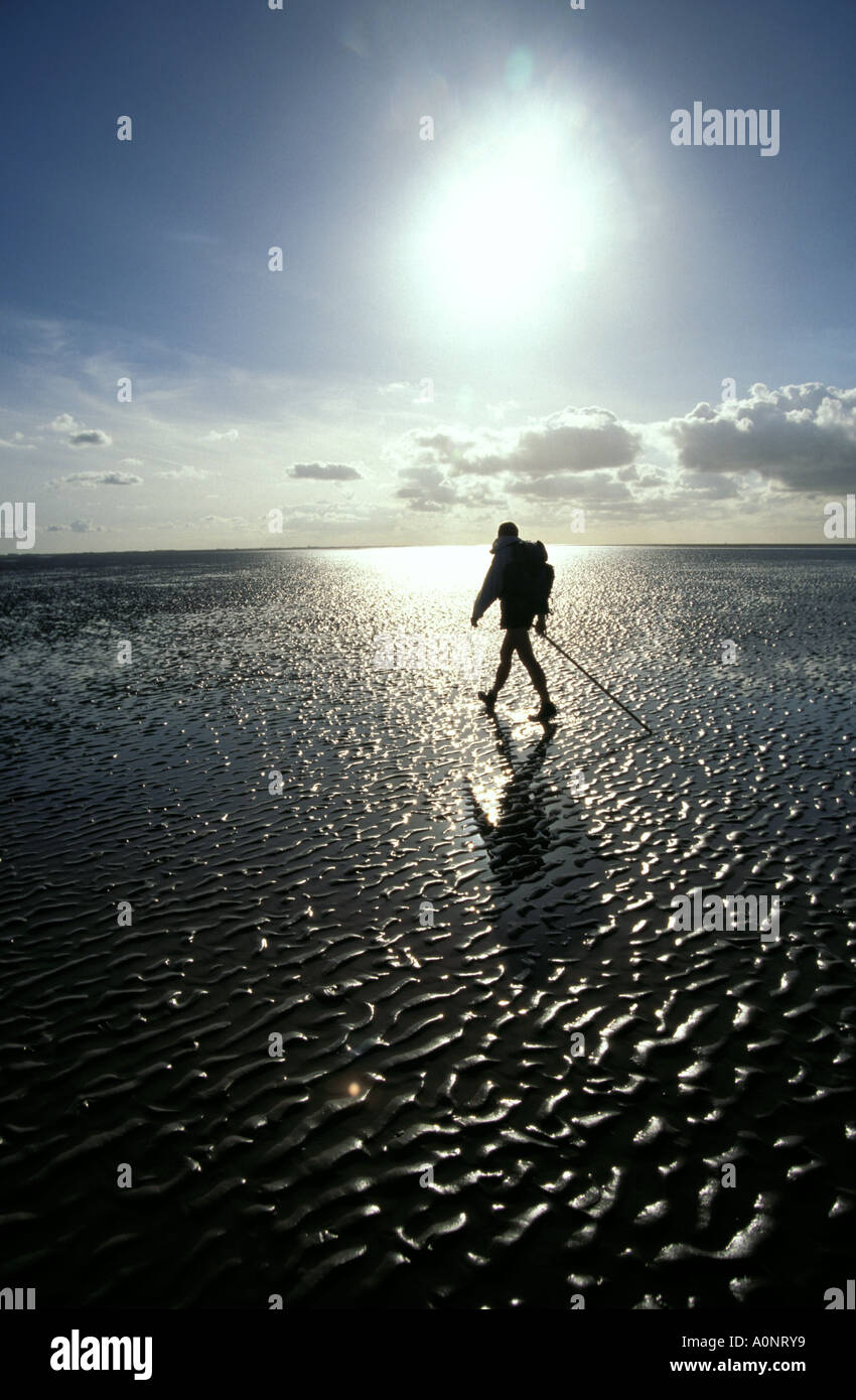 walking on the seabottom at low tide Stock Photo - Alamy