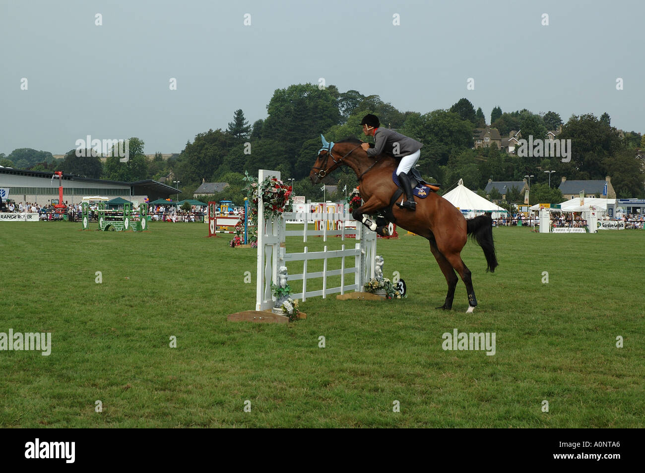 Show jumping event Stock Photo - Alamy