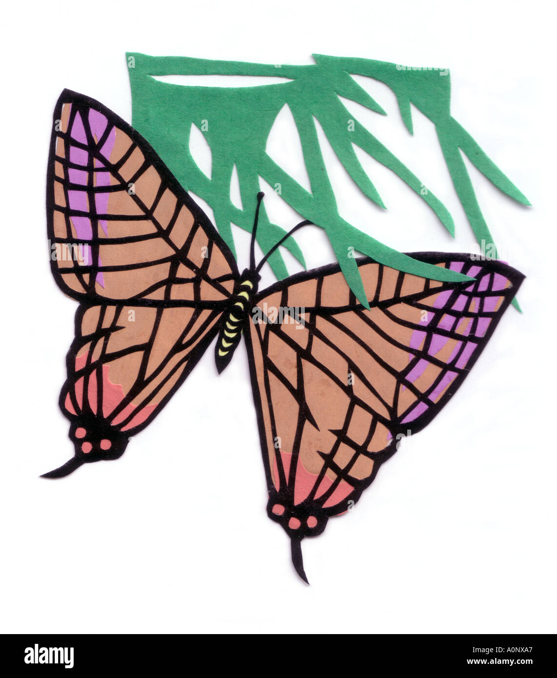 Cut out butterfly card Cut Out Stock Images & Pictures - Alamy