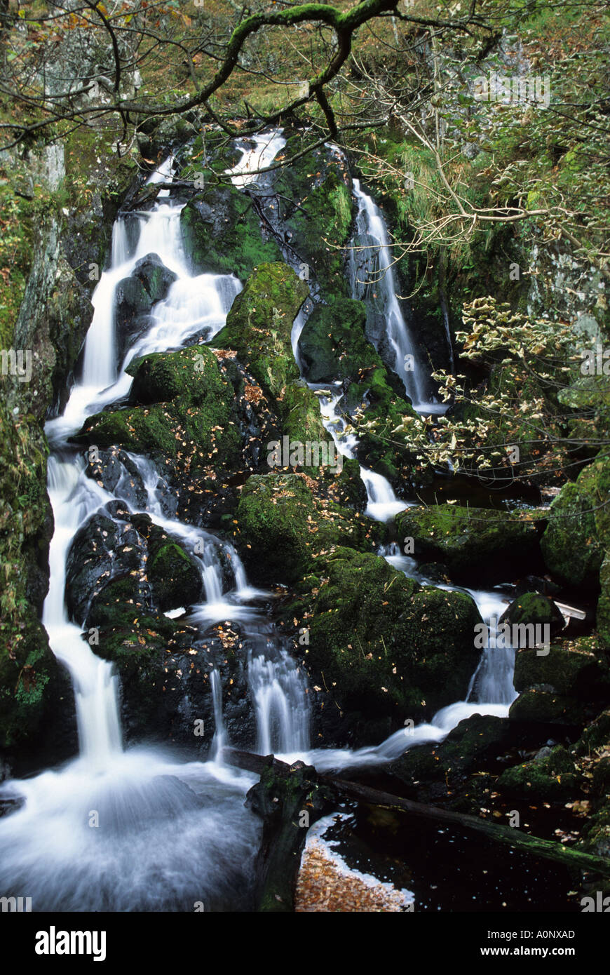 Lodore falls lake district hi-res stock photography and images - Alamy