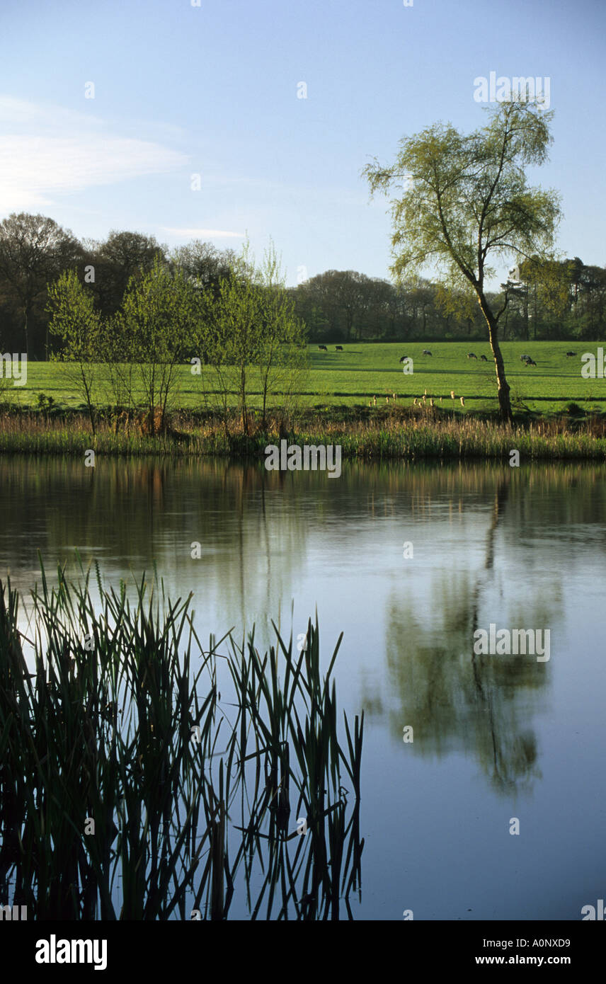 Rode Heath High Resolution Stock Photography and Images - Alamy