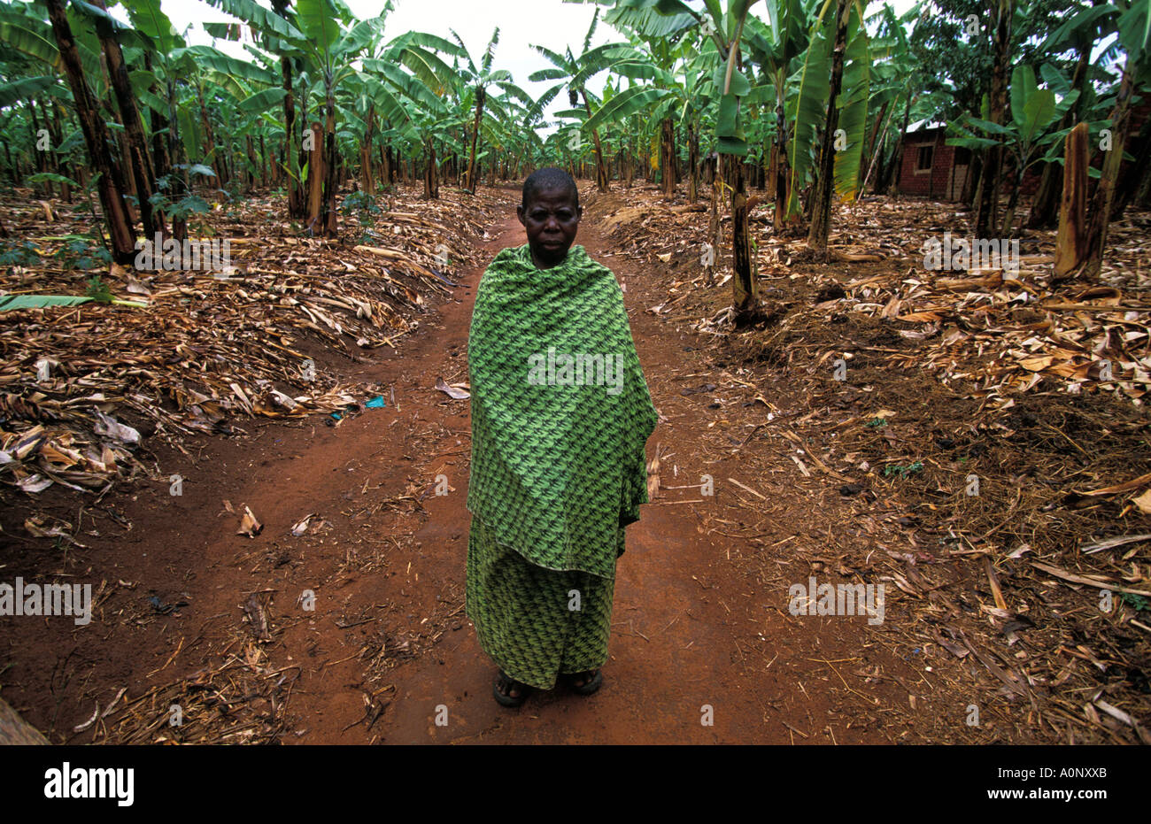 Kagera hi-res stock photography and images - Alamy