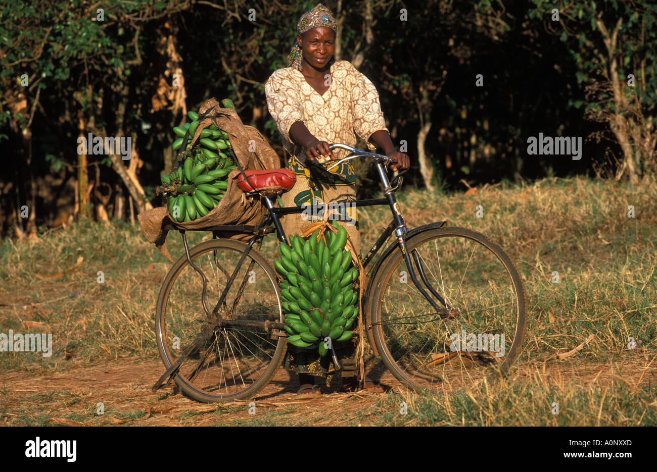 Kagera transport of banana bunches Stock Photo - Alamy