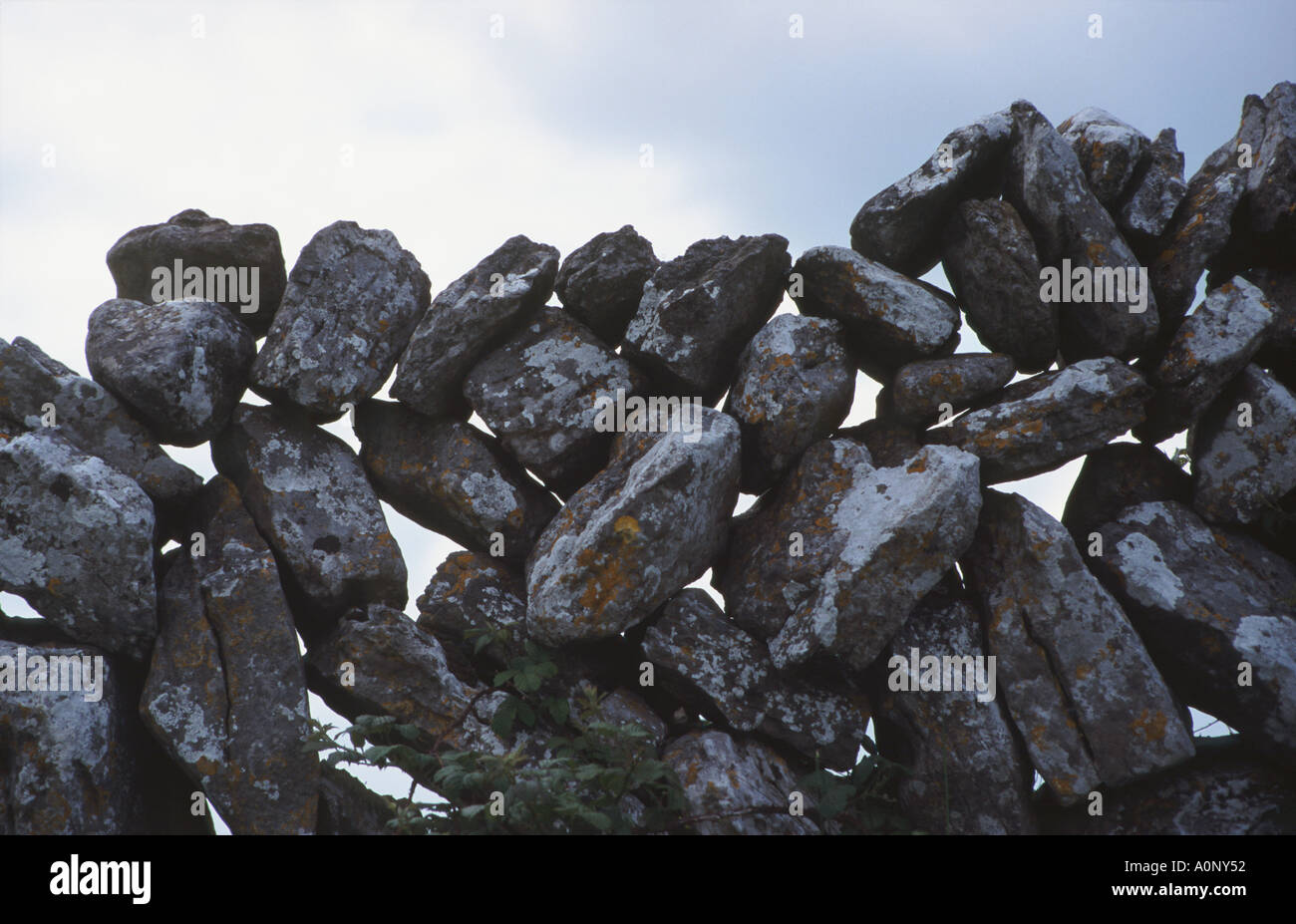 Typical Irish Stone Wall Ireland Stock Photo - Alamy