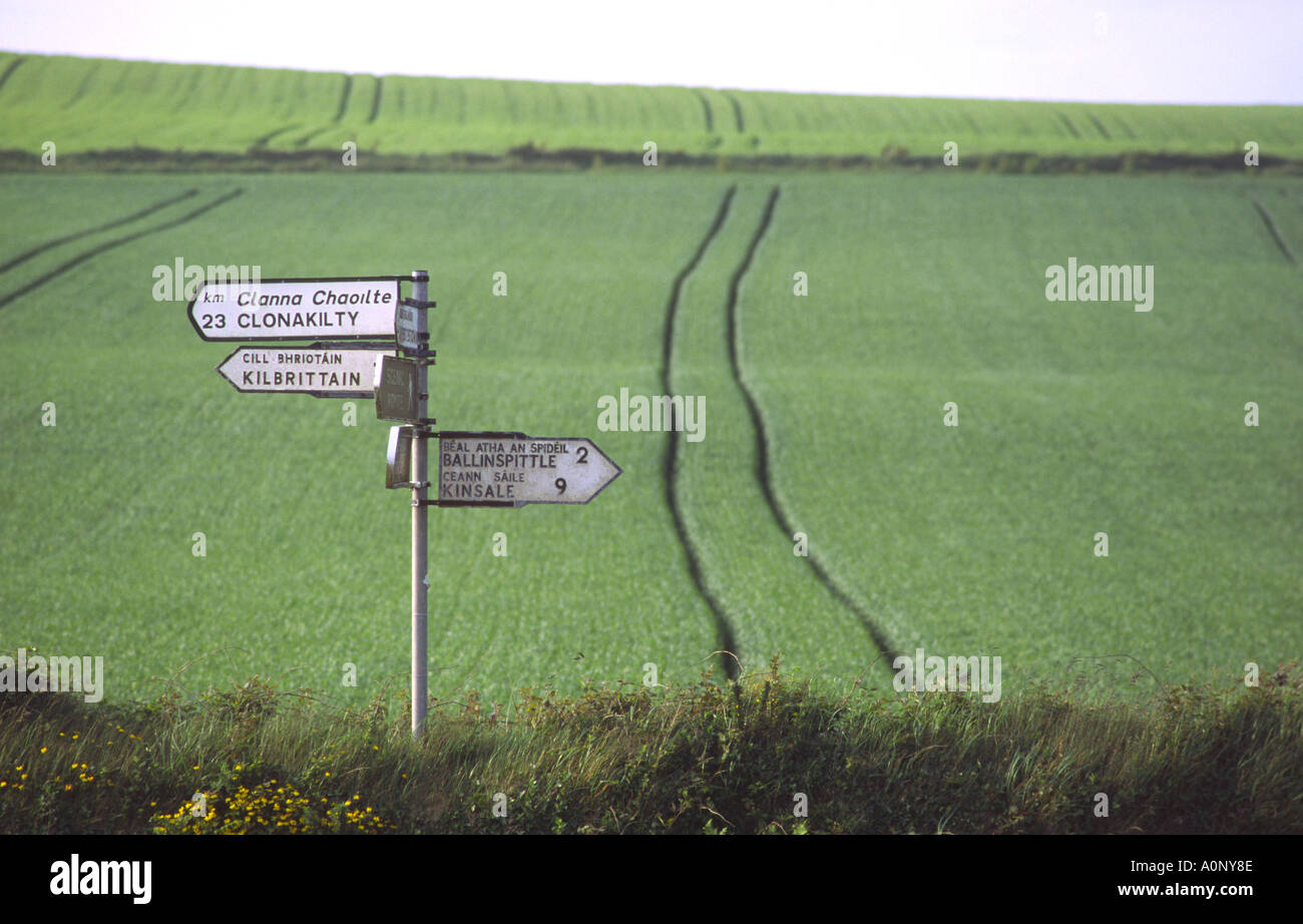 Signpost in Landscape Ireland Stock Photo - Alamy