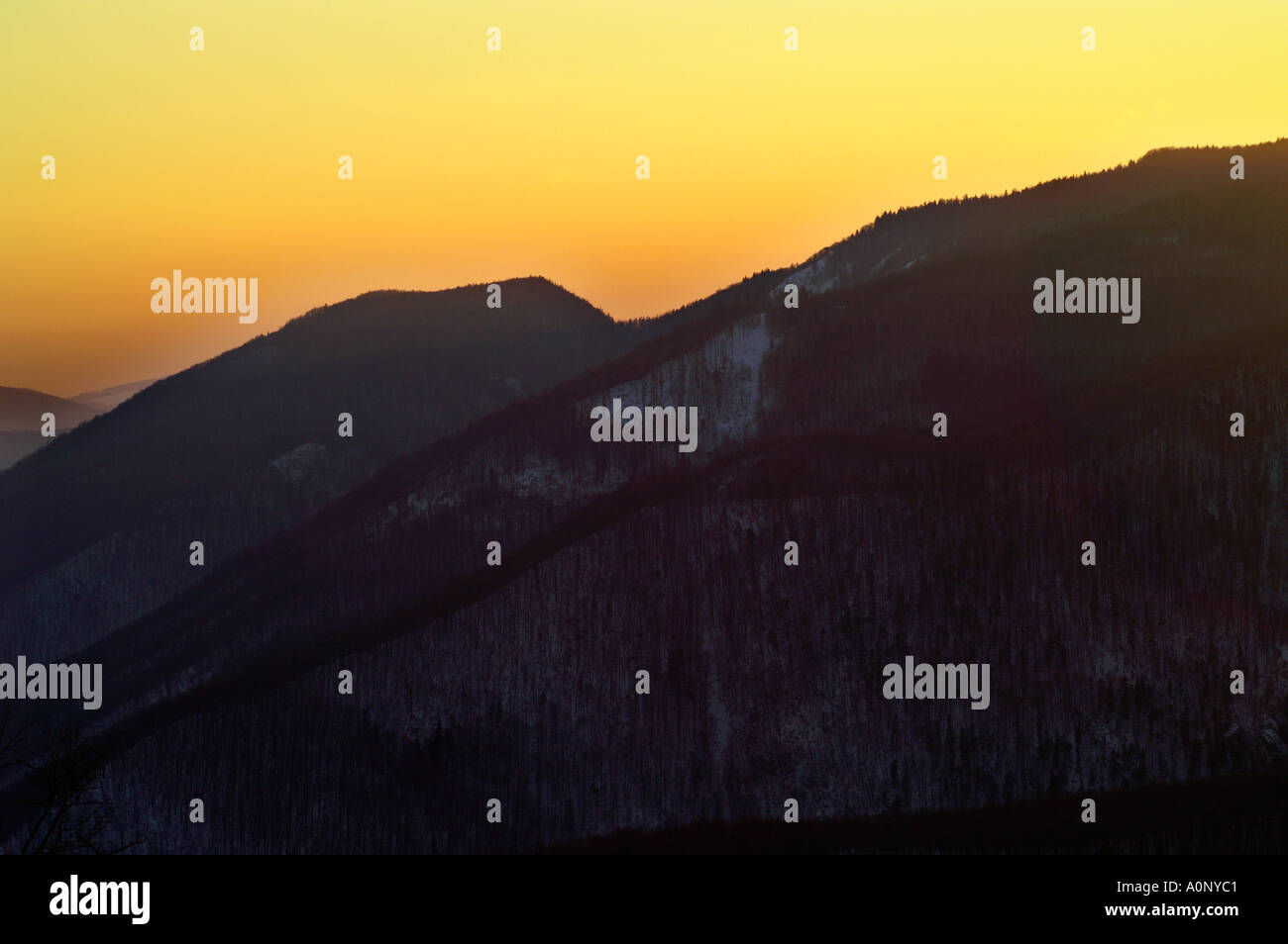 Forest covered slopes of Muran Plateau edge, Slovakia Stock Photo - Alamy