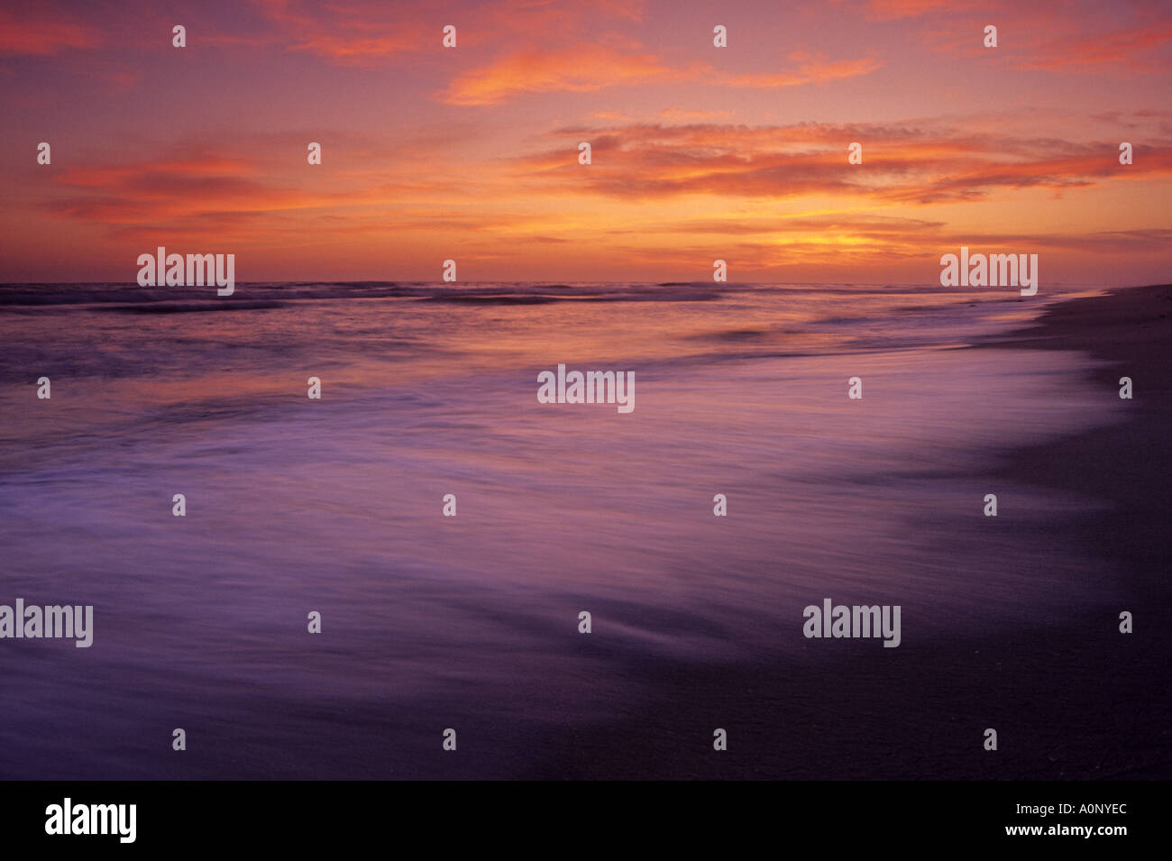 Huntington beach state park hi-res stock photography and images - Alamy