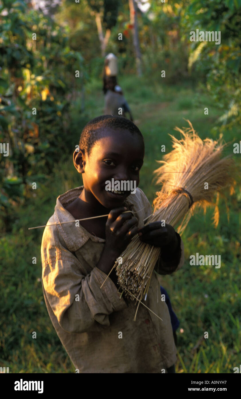 A boy carrying a bunch of hay home at the end of the day Stock Photo ...