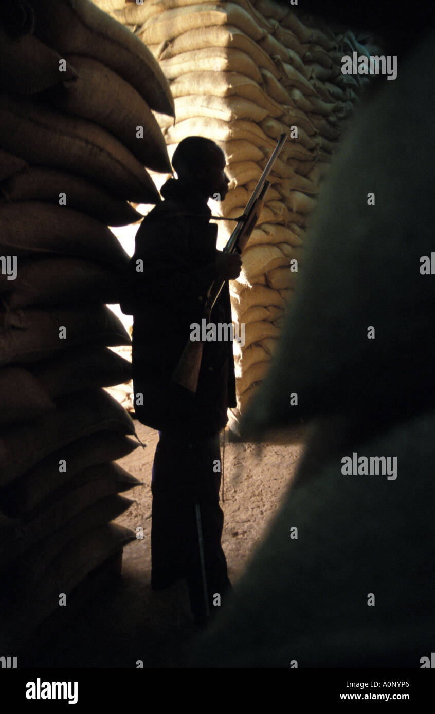 A guard protecting the coffee warehouse of Kemondo bay Stock Photo - Alamy