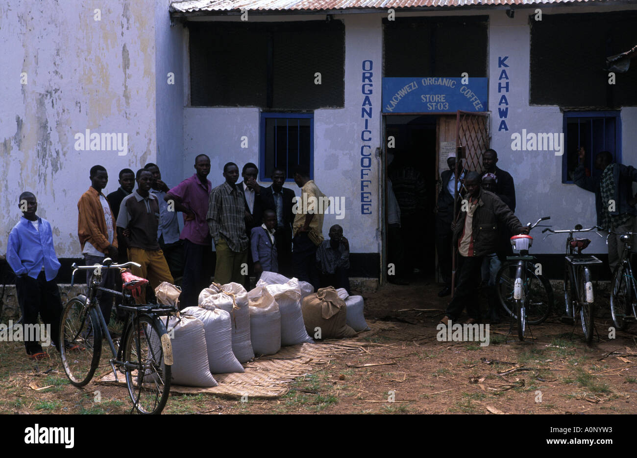 A biological coffee cooperative in Kagera Stock Photo - Alamy