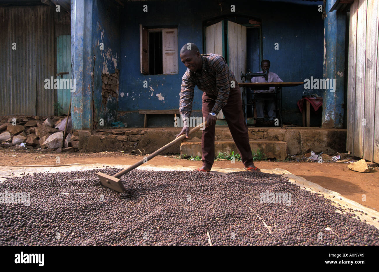 Kagera hi-res stock photography and images - Alamy