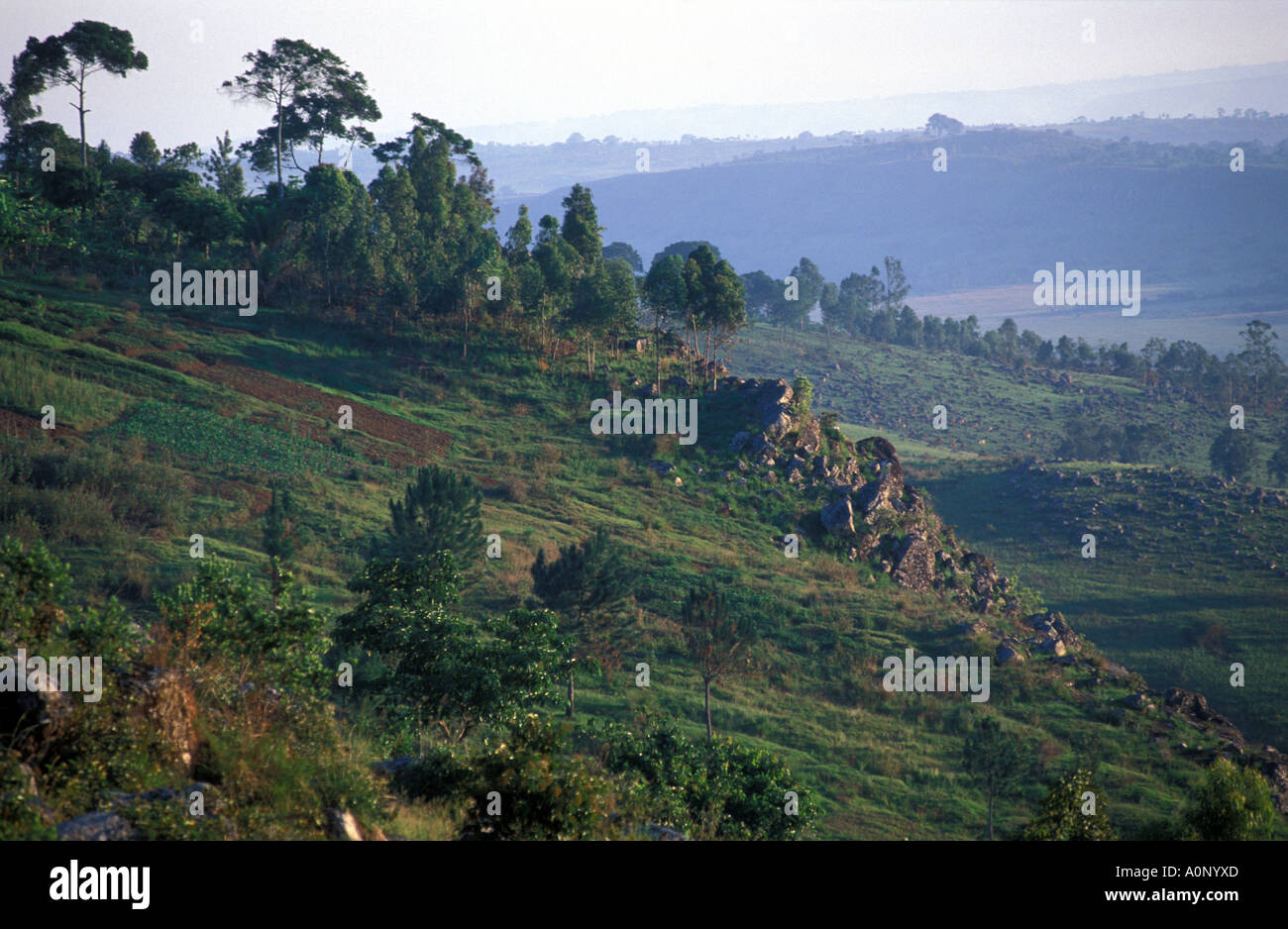 Kagera hi-res stock photography and images - Alamy