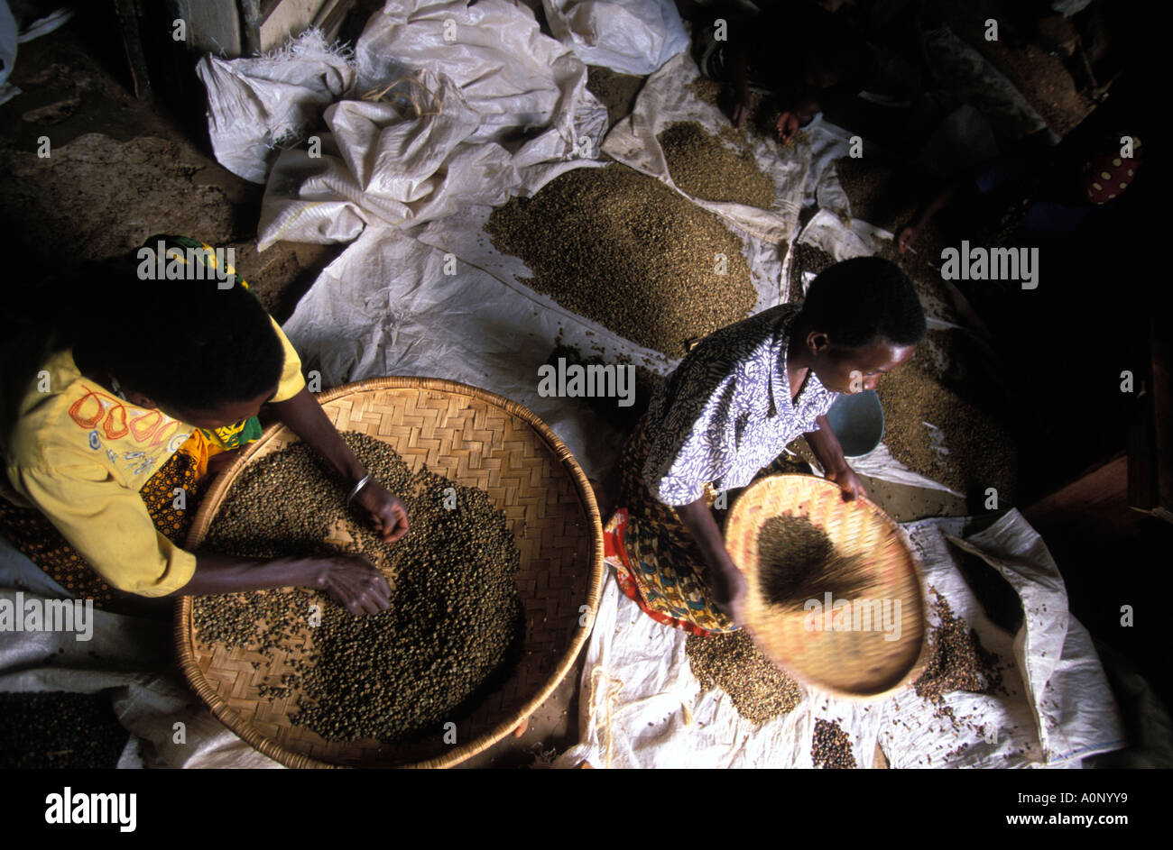 Coffee bean skins hi-res stock photography and images - Alamy