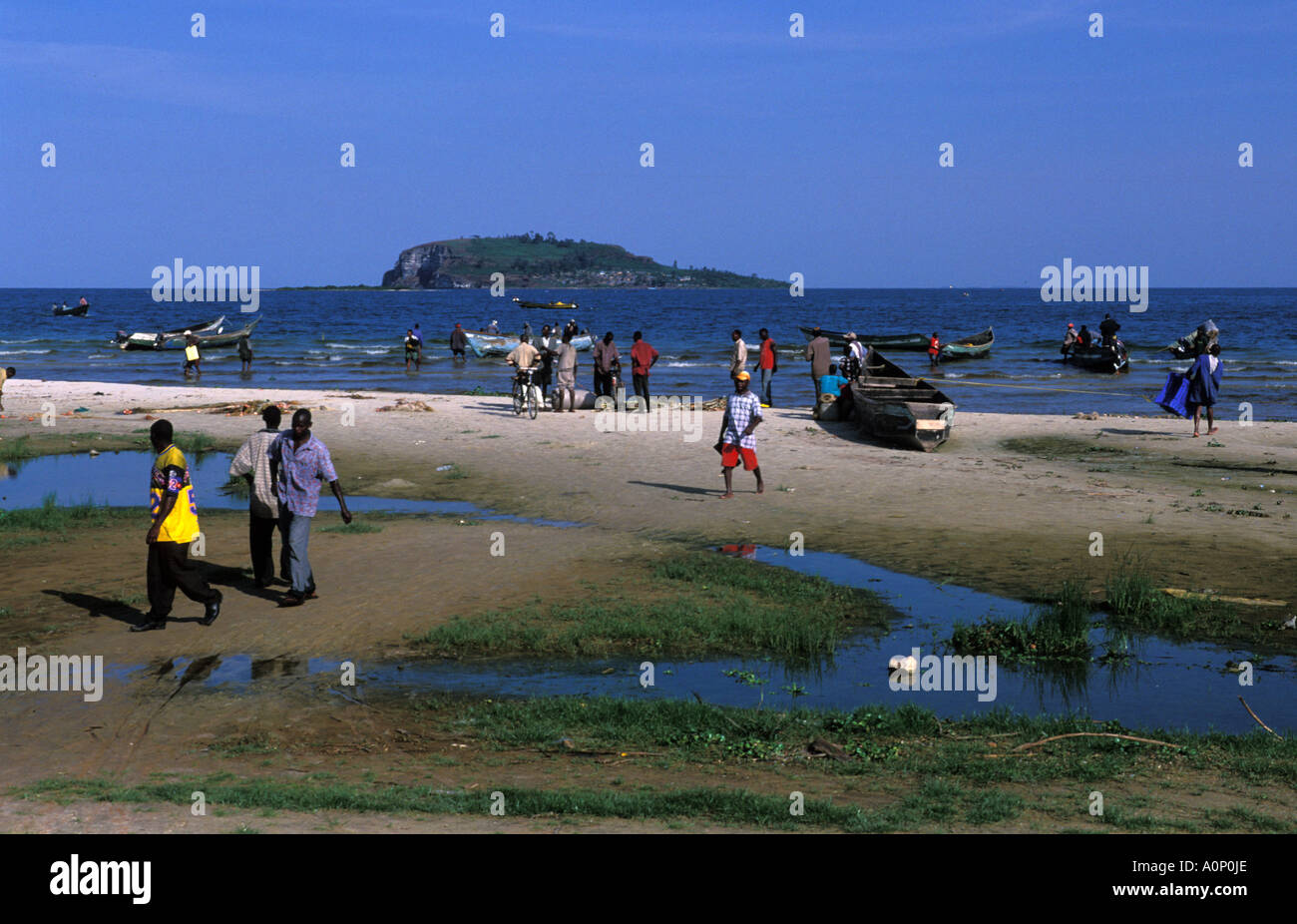 The shores of Lake Victoria Stock Photo - Alamy
