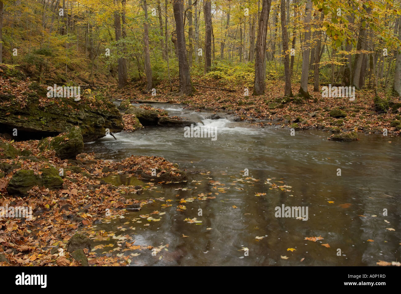 An autumn landscape with river Stock Photo - Alamy