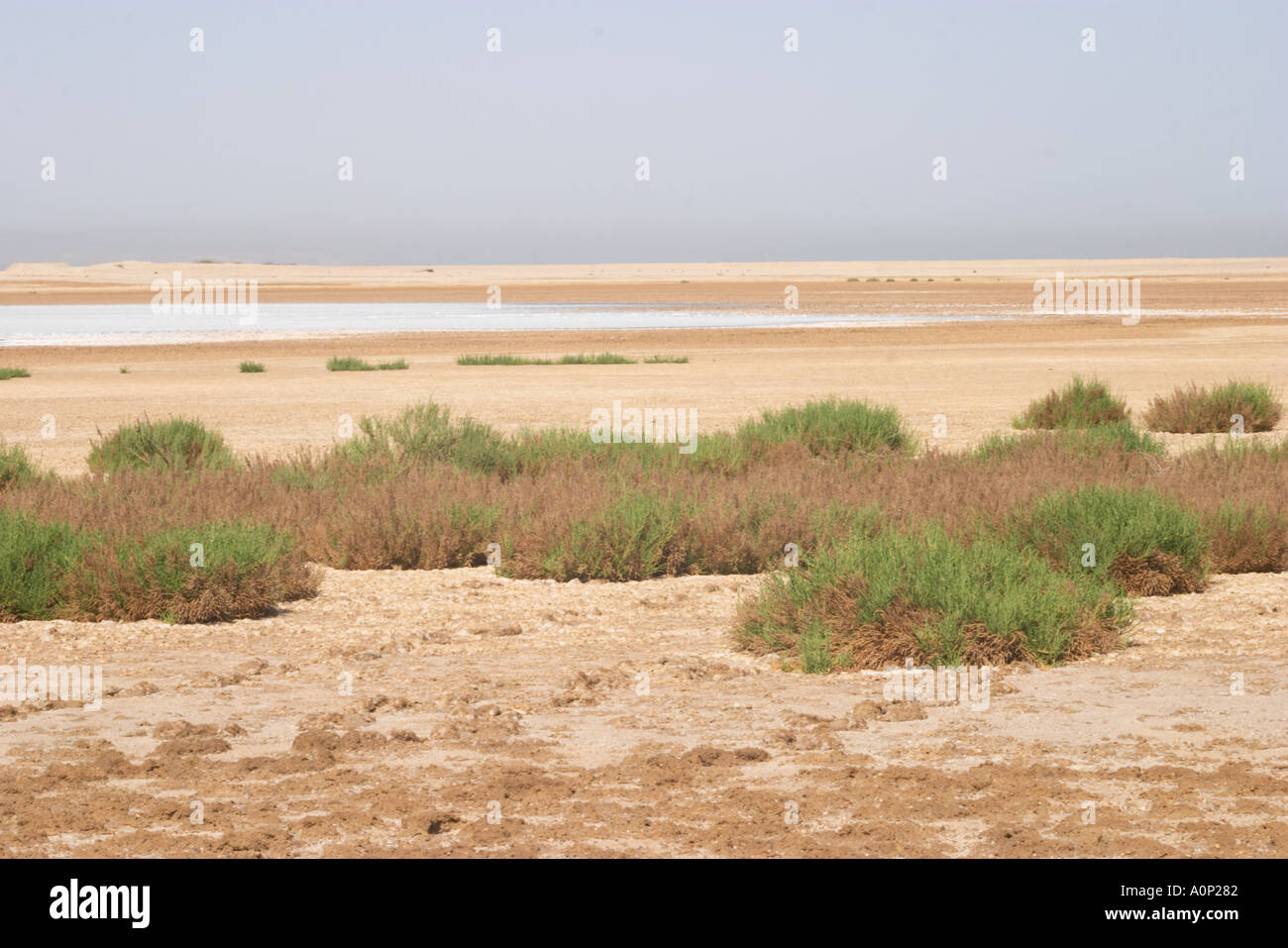 Bitter lakes and egypt hi-res stock photography and images - Alamy