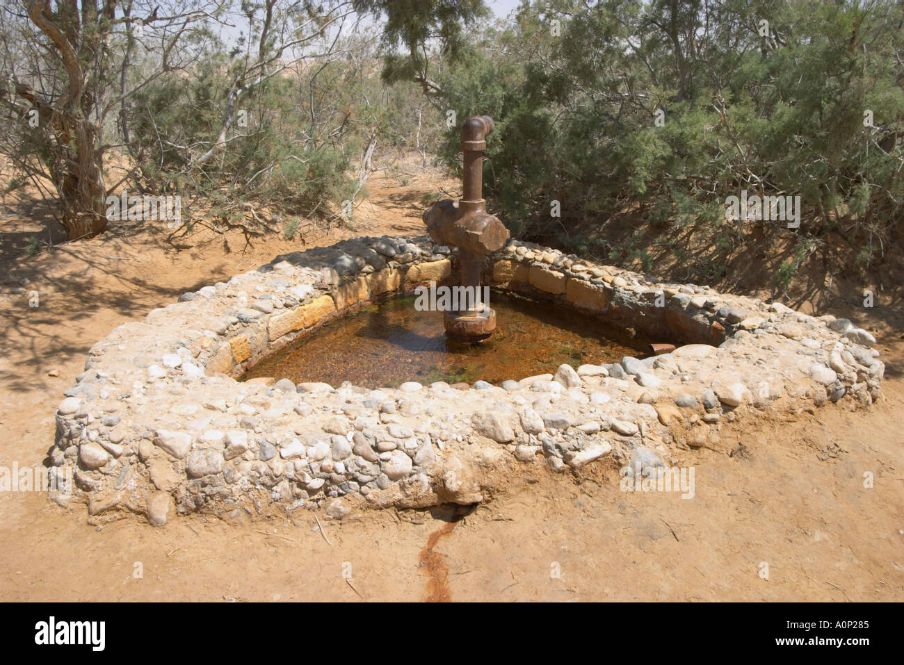 Ain Moussa The Springs of Moses in Sinia Egypt Stock Photo - Alamy