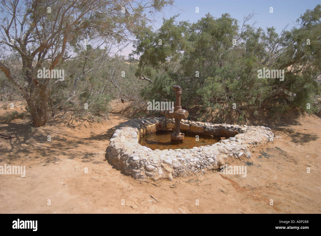 Springs of moses hi-res stock photography and images - Alamy