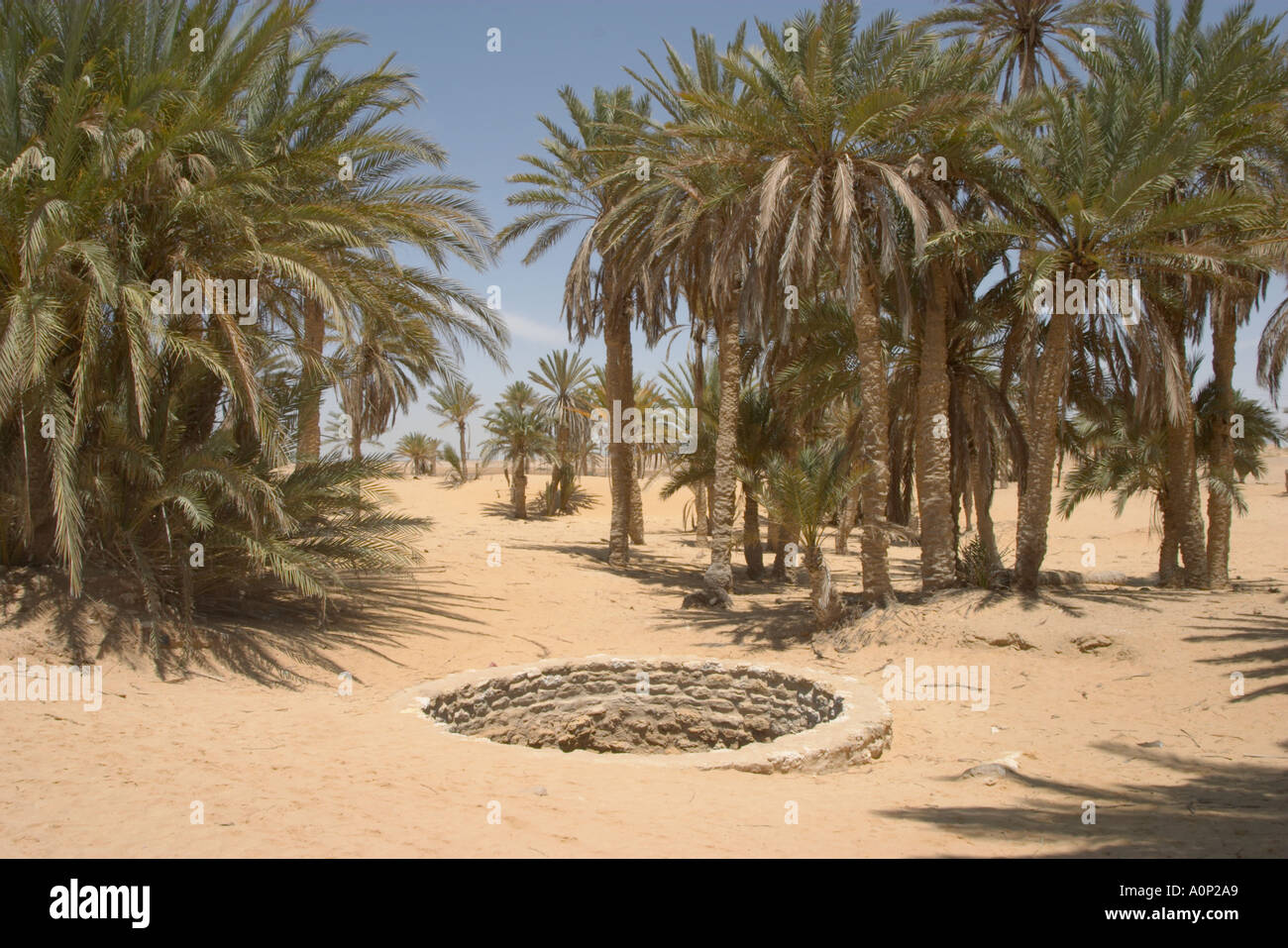 Springs of moses hi-res stock photography and images - Alamy