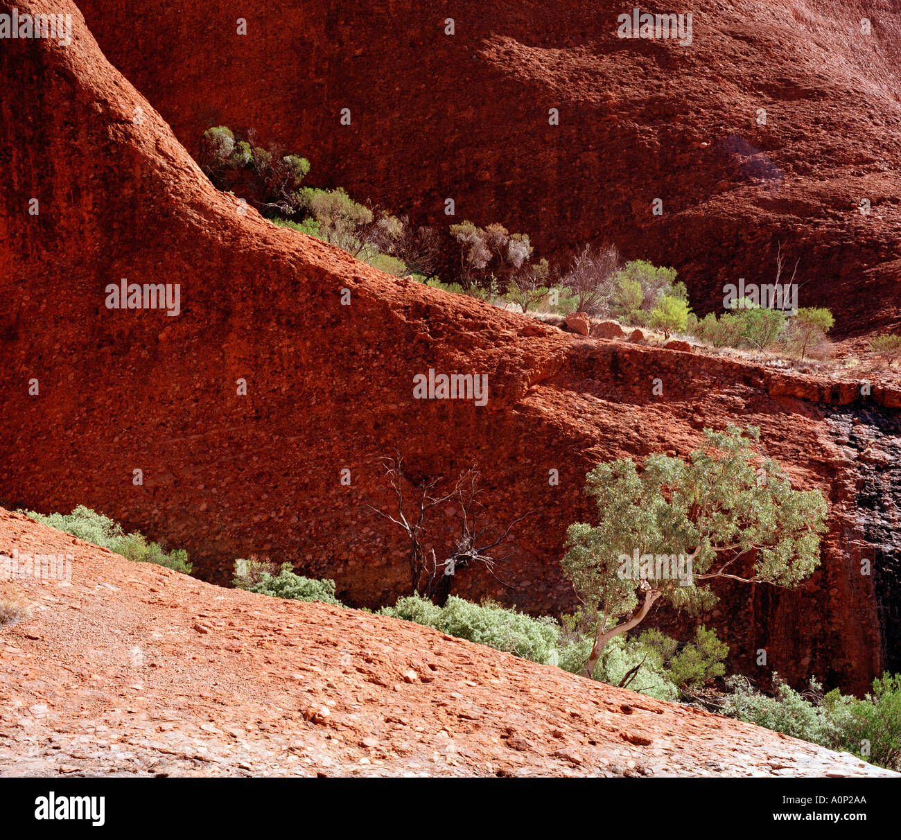 Kata tjuta the olgas rock formation hi-res stock photography and images ...