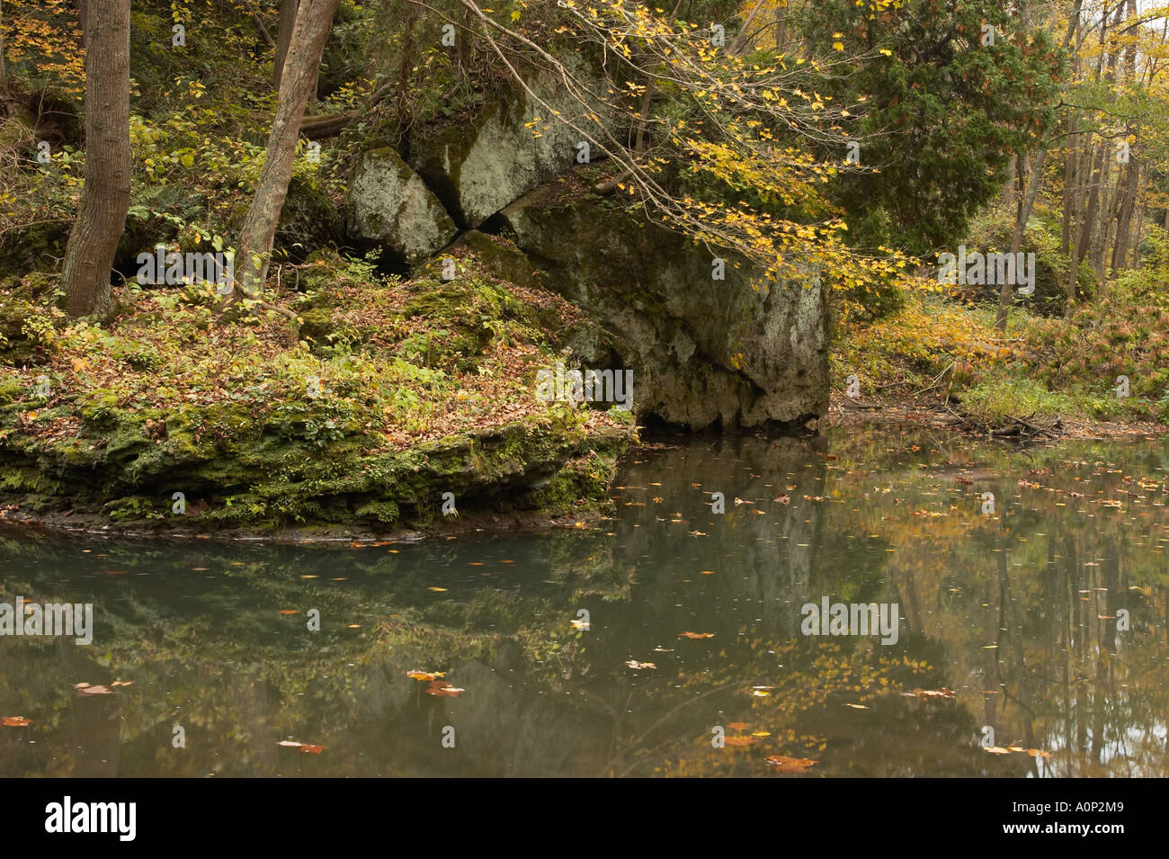 An autumn forest with river in Clifton Gorge State Park, Yellow Springs ...