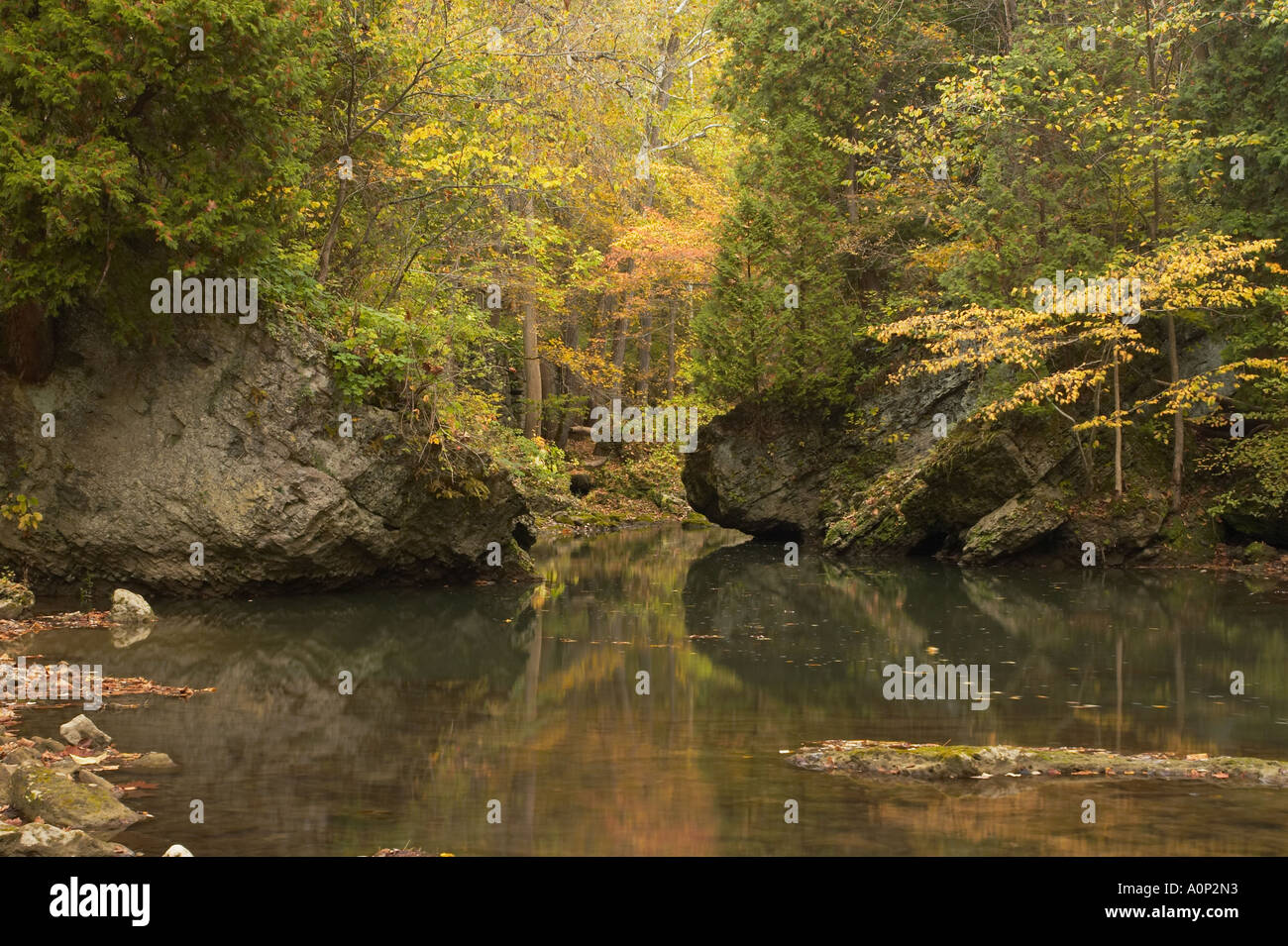 An autumn forest with river in Clifton Gorge State Park, Yellow Springs ...