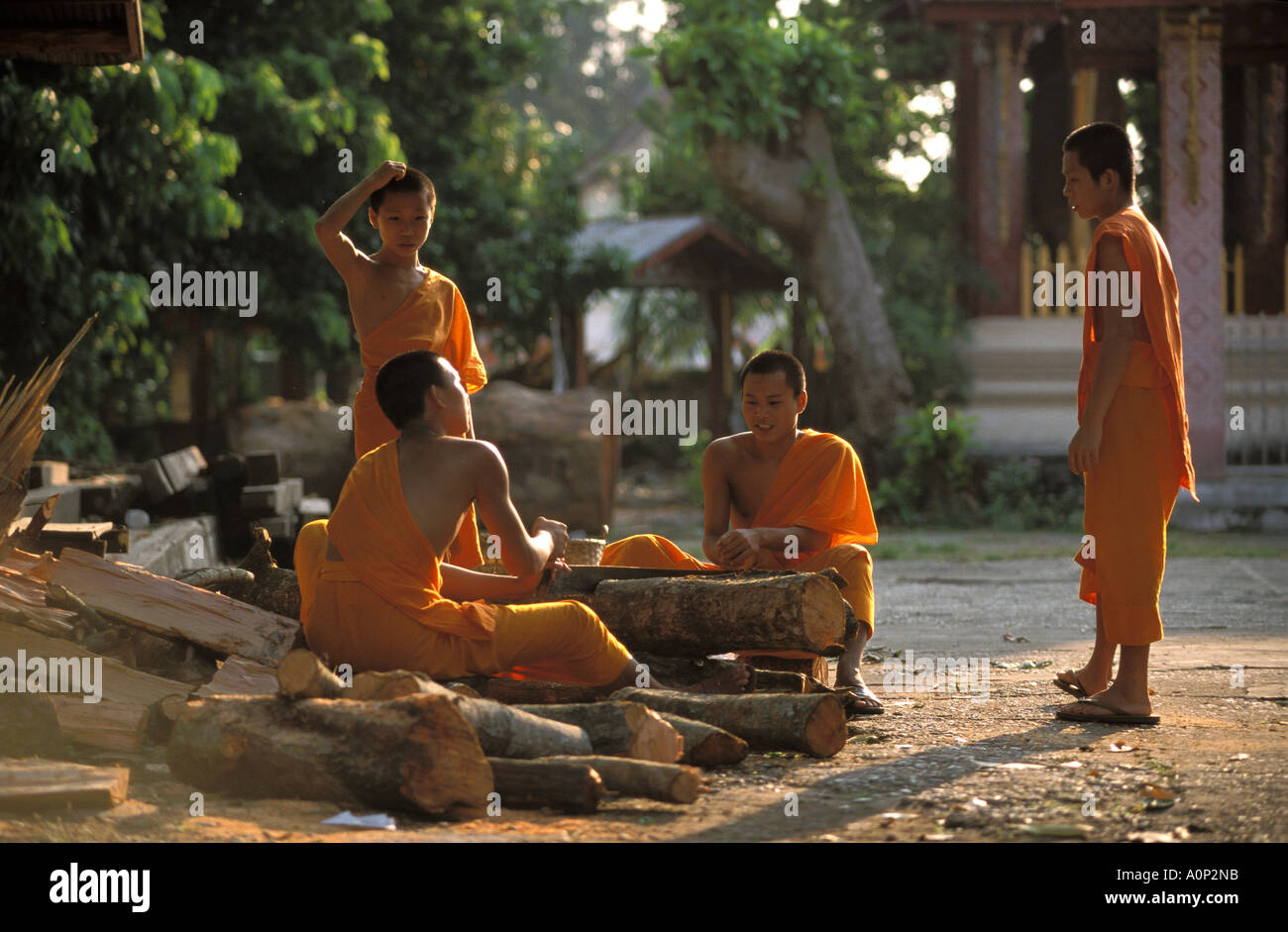 Buddhist monks in a monastery Stock Photo - Alamy